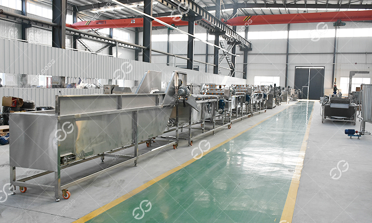 Model Project Report On Fruit & Vegetable Processing Unit