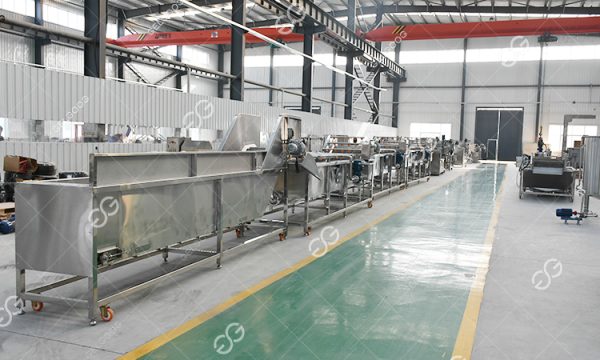 Model Project Report On Fruit & Vegetable Processing Unit