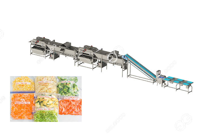 Why Our Vegetable Processing Line Is The Smart Choice For Health ...