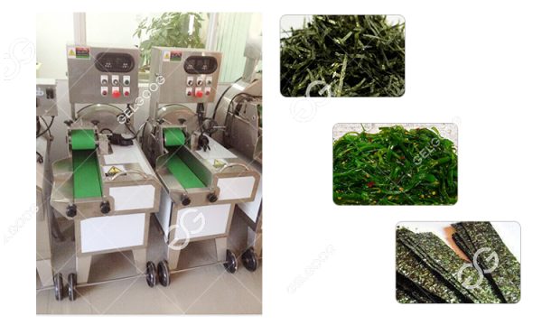 Professional Kelp Seaweed Cutting Machine Manufacturer
