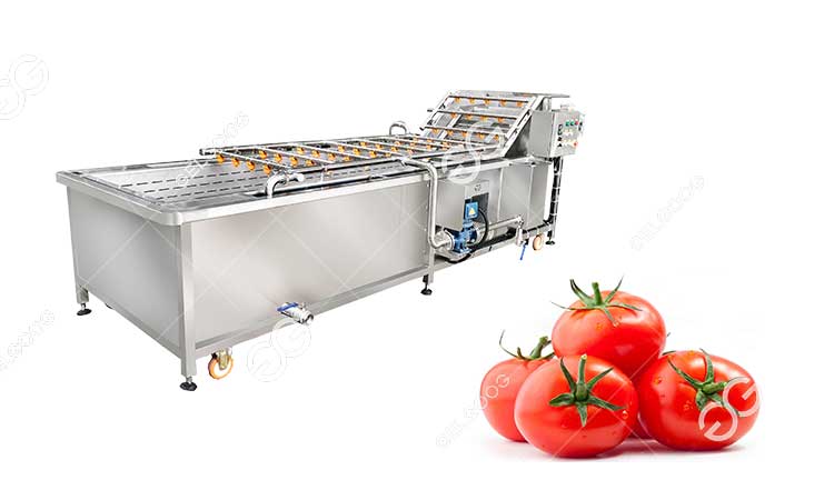 Tomato Washing Machine For Sale: Streamline Your Production Process
