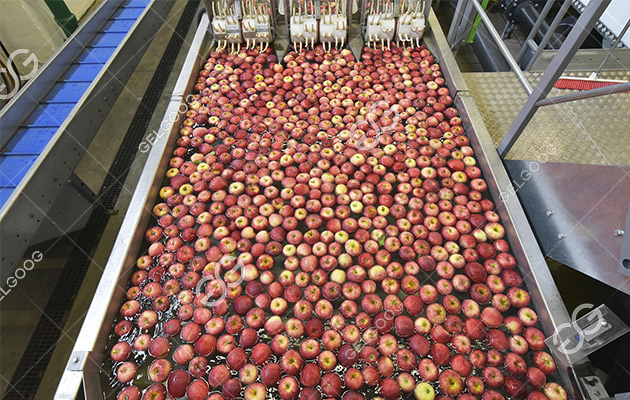 What Are The Types Of Fruit Processing Plant Industry?