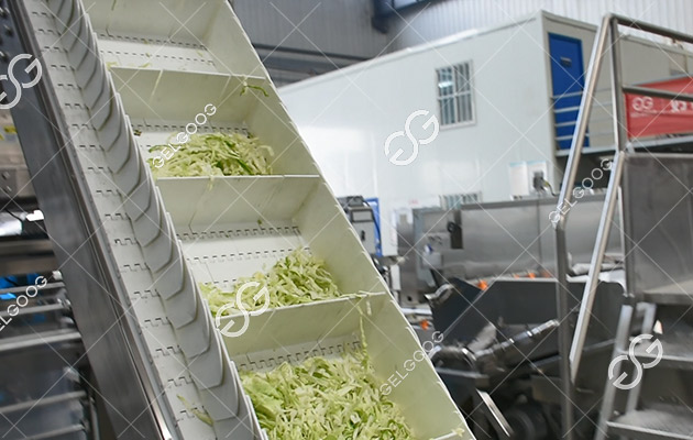 How Is Lettuce Processed In A Factory