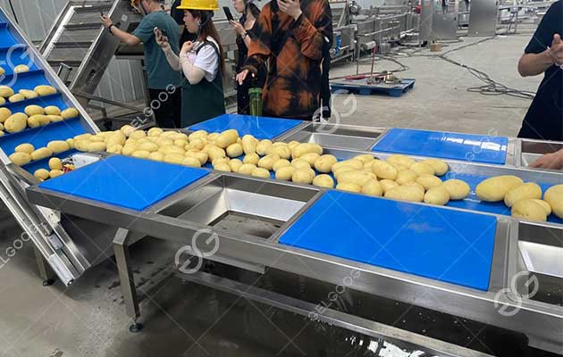 How To Start A Fresh Cut Potato Processing Business