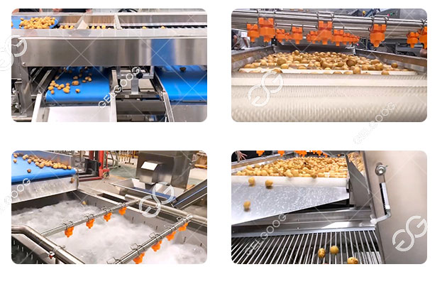 How Do You Wash a Lot of Potatoes?The Potato Washing Line