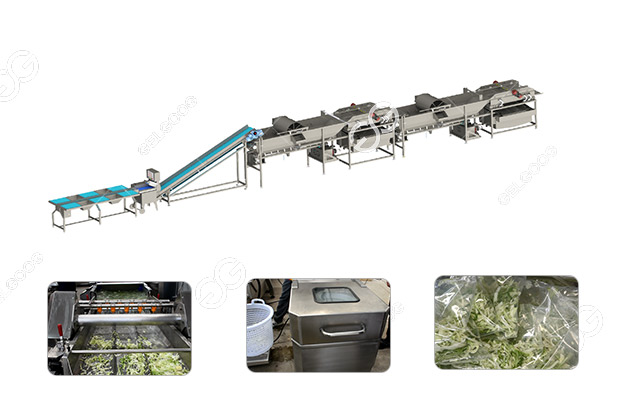 What Is The Manufacturing Process Of Salad Vegetables In A Factory