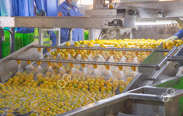 What Is Meant By Fruit Processing?