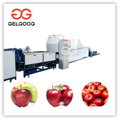 Apple Fruit Washing And Waxing Sorting Line Project