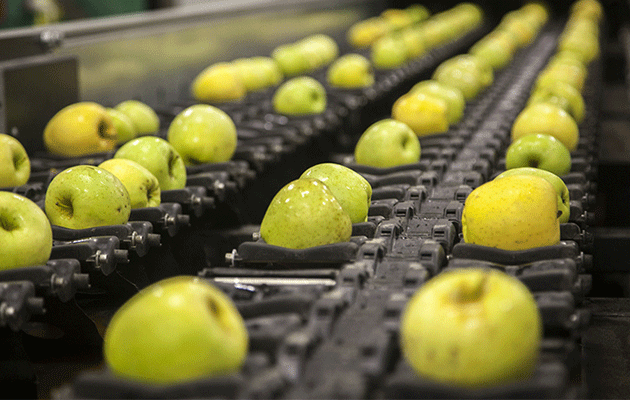 What Is Fruit Processing Unit?