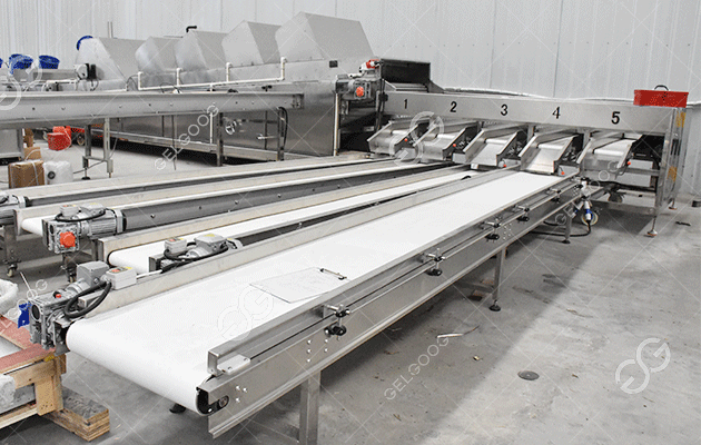 How Does A Fruit Sorting Machine Work?