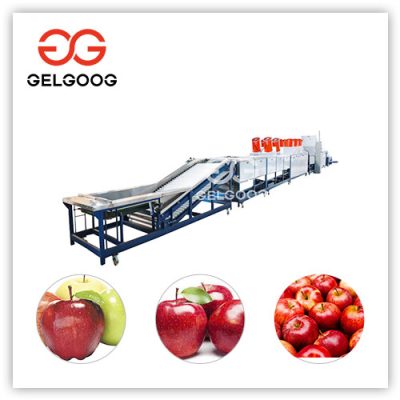 Apple Fruit Washing And Waxing Sorting Line Project