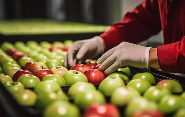 What Is The Most Practical Way Of Processing Fruits And Vegetables?