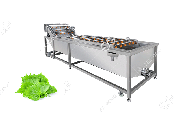 Clean Leaves With Industrial Bubble Washing Machine