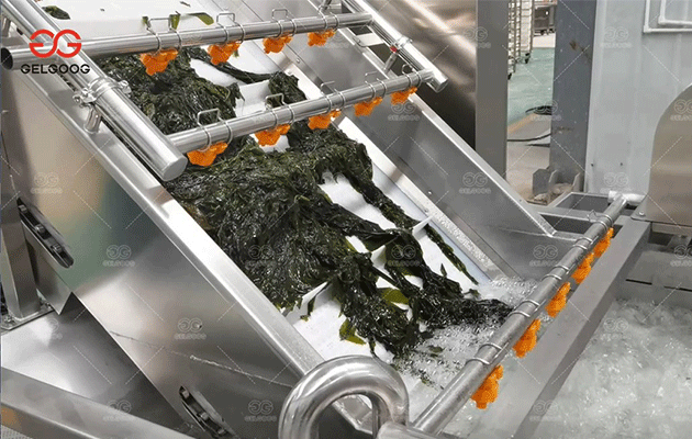 What Are The Methods Of Processing Seaweed In Factory?