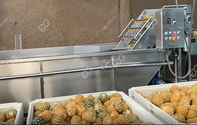 What Is The Method Of Processing Pineapple?