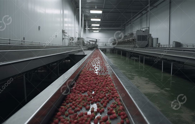 What Are The Processing Operations Of Fruits And Vegetables?