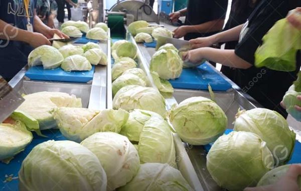 How Is Bagged Lettuce Processed In Factory?