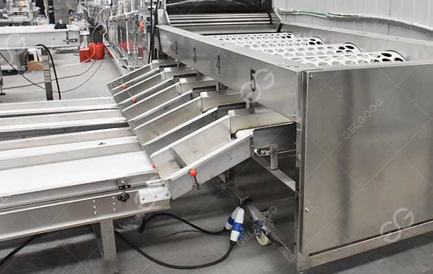 What Machine Sorts Potatoes In Factory