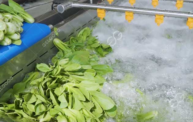 What Are The General Pre Processing Of Fruits And Vegetables?