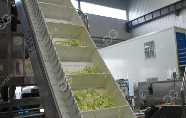 What Is The Reason For Vegetable Processing?
