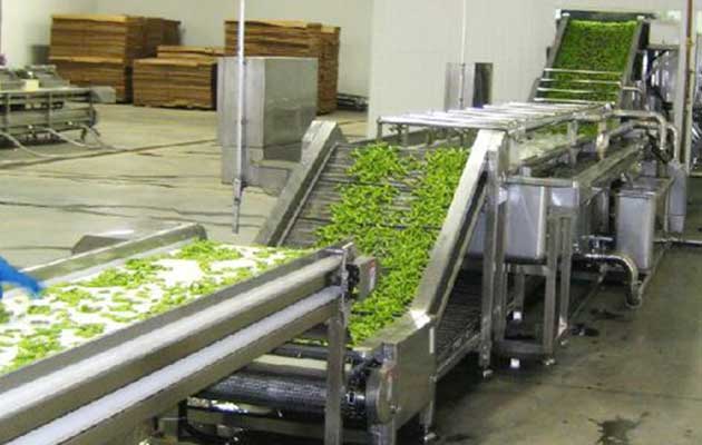 What Are The Modern Processing Methods Of Vegetables?