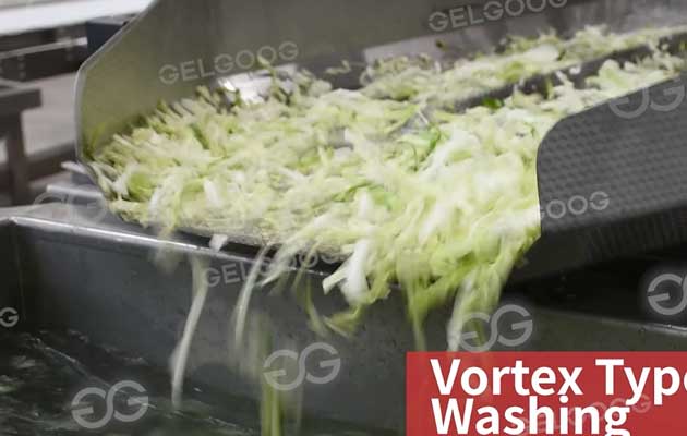 Do Fruit And Vegetable Washers Really Work? - Turnkey Vegetable Washing ...