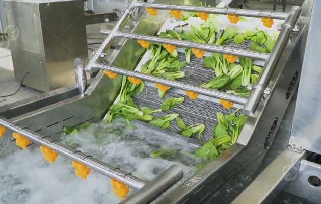 Vegetable Processing Line Factory