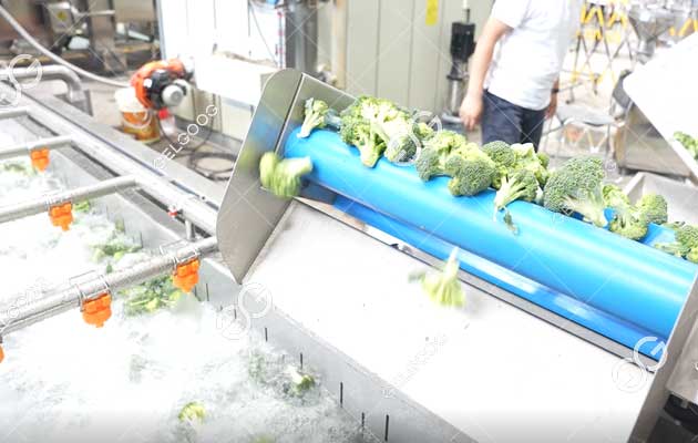 What Is The Best Way To Wash Broccoli In Factory?