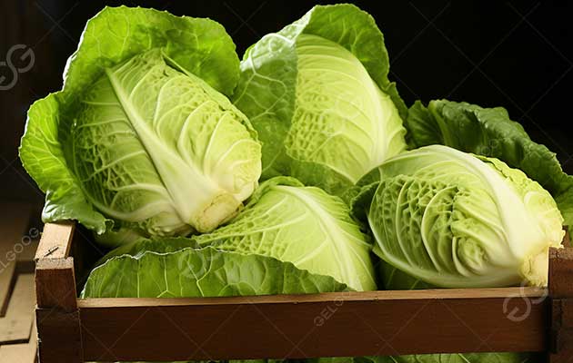 How To Wash Cabbage In A Factory