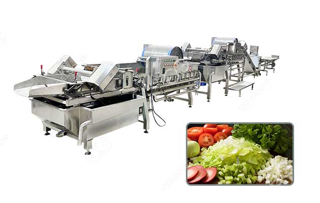 Vegetable Processing Line Process Flow