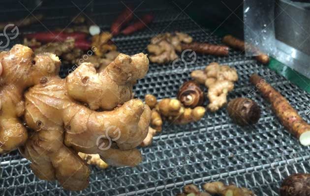 What Is Ginger Washing In Factories?