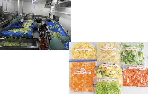 How Do You Process Green Vegetables In Plant?