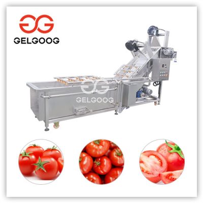 Cherry Tomato Washing Machine For Farm
