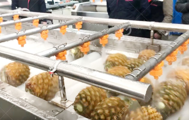 How Can Pineapple Be Processed?