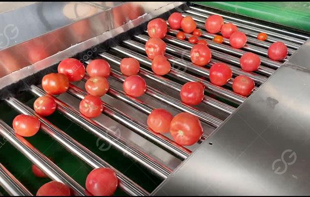 How Does A Tomato Sorting Machine Work?