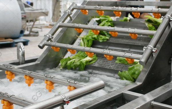 Lettuce Washing And Drying Line For Business
