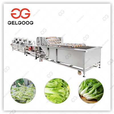 Blog - Turnkey Vegetable Washing Solution Manufacturer