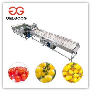 Cherry Tomato Washing Machine For Farm