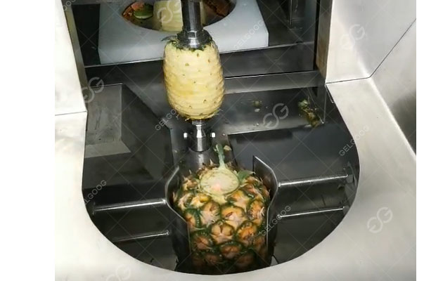 What Are the Steps in the Pineapple Processing Process?