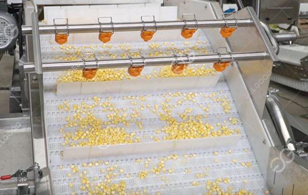 Corn Kernel Washing Machine Bubble Type