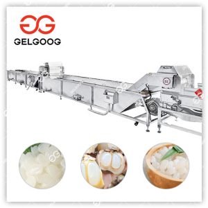 Kaong Fruit Washing Processing Machine 300-5000kg/H