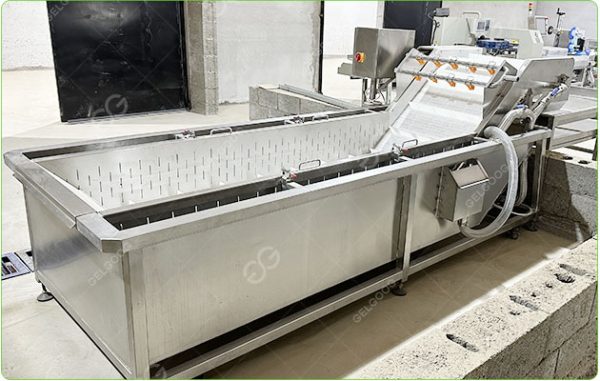 Kaong Fruit Washing Processing Machine 300-5000kg/H