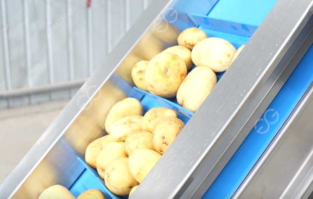 How Are Potatoes Commercially Produced?