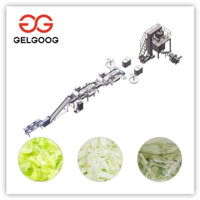 Fruit And Vegetable Processing Plant Layout