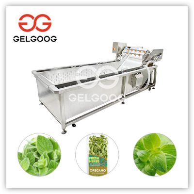 Blog - Turnkey Vegetable Washing Solution Manufacturer